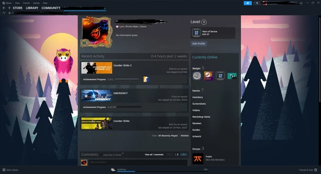 COMPTE STEAM CS2 - Prime & Badges $53.99 - PicClick AU