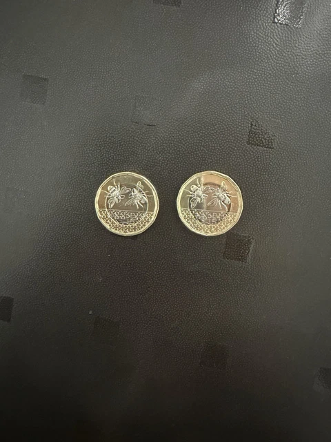 KING CHARLES III £1 Bee Coins 2025 Uncirculated, Low Mintage, Rare £ ...