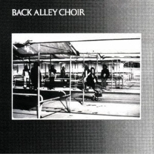 BACK ALLEY CHOIR Back Alley Choir (CD) EUR 37,37 - PicClick FR