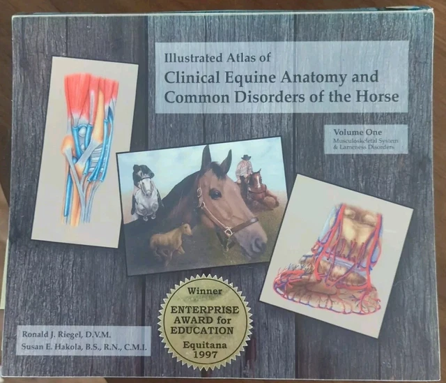 ILLUSTRATED ATLAS OF Clinical Equine Anatomy and Common Disorders Of The Horse 1 £43.78 ...