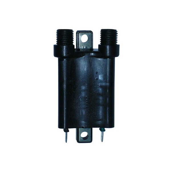 BOBINA ACCENSIONE HONDA Cb F Hornet (Pc34) 600 1998 2002 EUR 69,11 ...