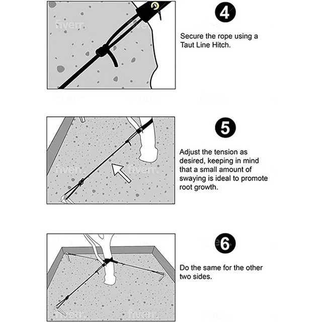 TREE TRIMS TREE Post Care Products Specifications Attention Floor £15. ...