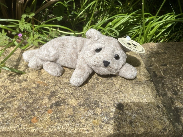 QUARRY CRITTERS CAT soft toy. New with tag, small £5.91 - PicClick UK