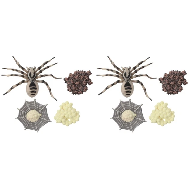 2 SETS SIMULATION Growth Cycle Model Tarantula Life Cycle Figurine £15. ...