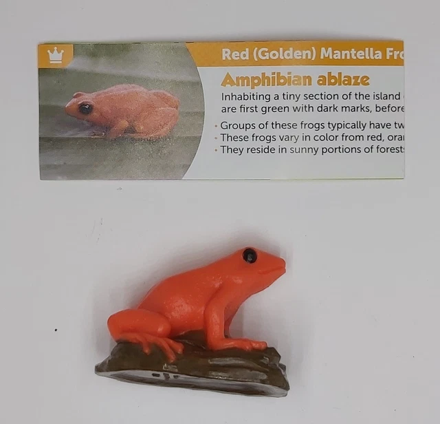 YOWIE COLORS OF The Animal Kingdom Series - Red (Golden) Mantella Frog ...