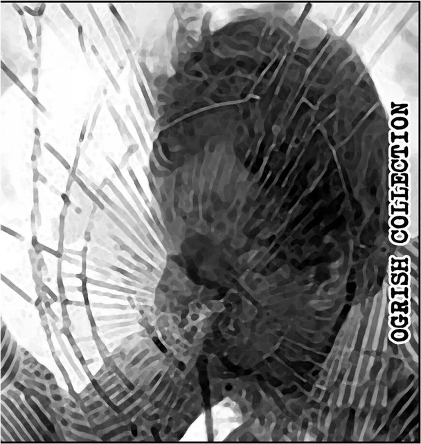 COMPLETE OGRISH COLLECTION dvd set kotw gore rare extreme horror EUR 85 ...