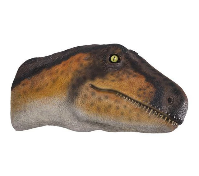 THEROPOD HEAD REALISTIC Dinosaur Head Jurassic Park Pre Historic Prop ...