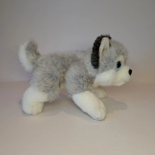 KEEL TOYS CUDDLE Puppies Husky Plush Dog Cuddly Toy Puppy Blue Eyes ...