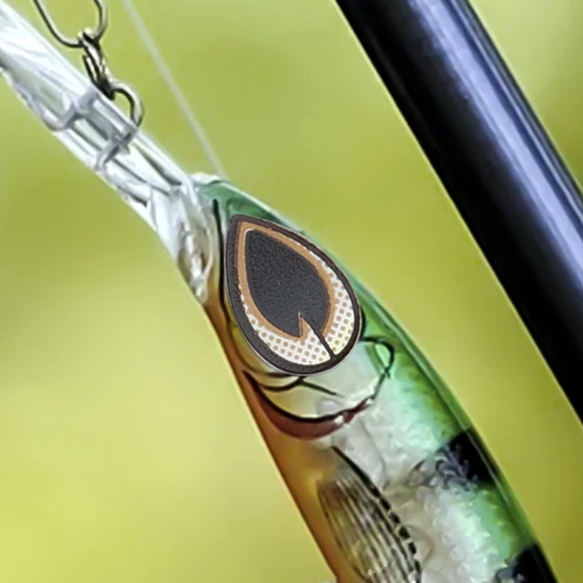 REALISTIC 2D HOLOGRAPHIC Laser Fishing Lure Eyes Flat Fishing Lure Eyes ...