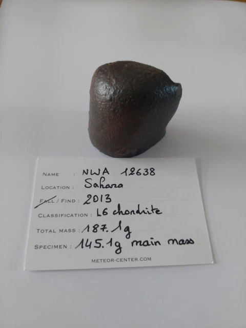 MÉTÉORITE - CHONDRITE Masse Principale NWA 12638 145,1 g EUR 145,00 ...