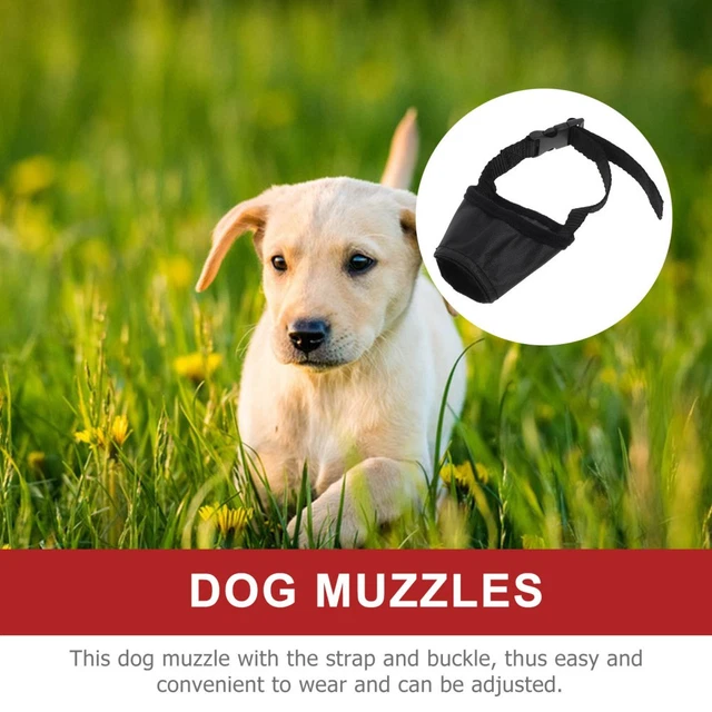 DOG SUPPLIES ANTI-BARKING Mask Muzzle Bridegroom for Pets Small Breed ...