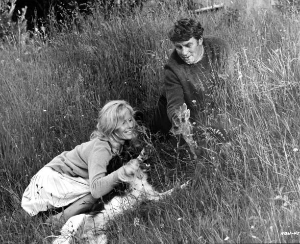 BILL TRAVERS ACTRESS Virginia McKenna in Ring of Bright Water in - Old ...