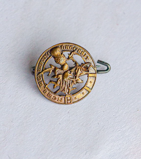 INSIGNE AÉRONAUTIQUE MILITAIRE. Belgique. Chardon. "Nemo me impune ...