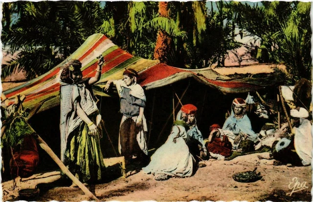 CPA AK ALGERIA Scenes et Types Campement de Nomades (735810) EUR 6,99 ...