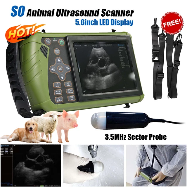 PORTABLE VETERINARY ULTRASOUND Machine Handheld Scanner For Cow,Horse ...