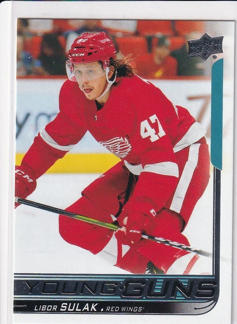 18/19 UD SERIES 1 Libor Sulak Young Guns Rc Sp Rookie #227 $0.99 ...