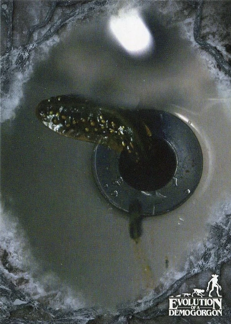 STRANGER THINGS UPSIDE Down Evolution OD Chase Card EV-1 Stage 1: Slug ...