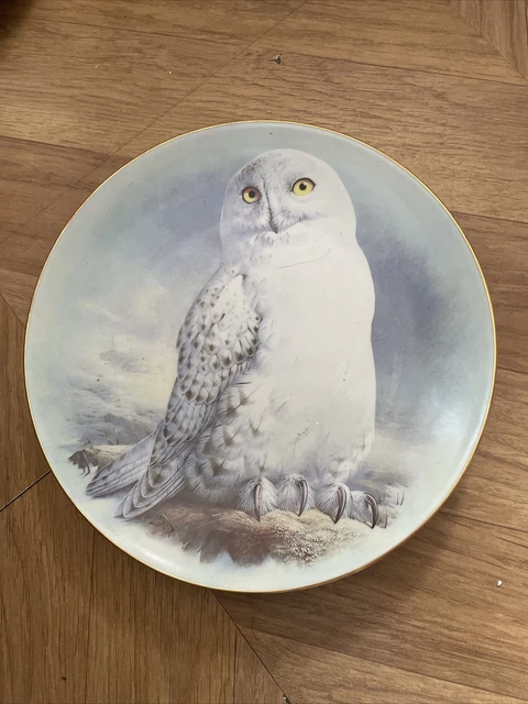 LIMOGES OWL PLATE The Snowy Owl By Raymond Watson £4.99 - PicClick UK