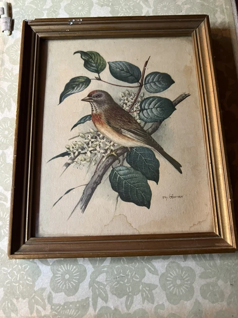JOLI PETIT TABLEAU Oiseau De Ph Gonner EUR 30,00 - PicClick FR
