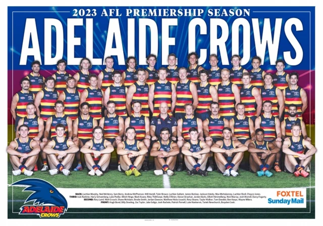 BIG 600MMX 420MM, 2023 ADELAIDE CROWS TEAM POSTER,AFL FOOTBALL CATS ...