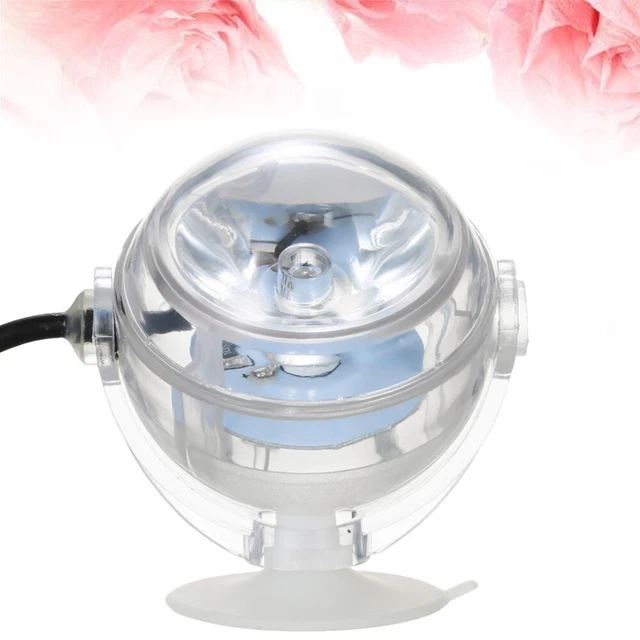 DÉCORATIONS DE POISSONS Pour Aquarium Projecteur D'aquarium Lumière ...