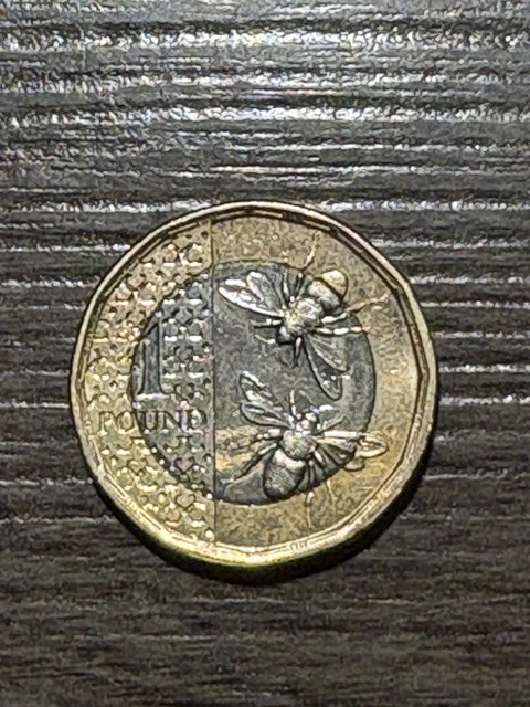 VERY RARE 2025 King Charles III Bee 1 Pound Coin Limited Edition Mint ...
