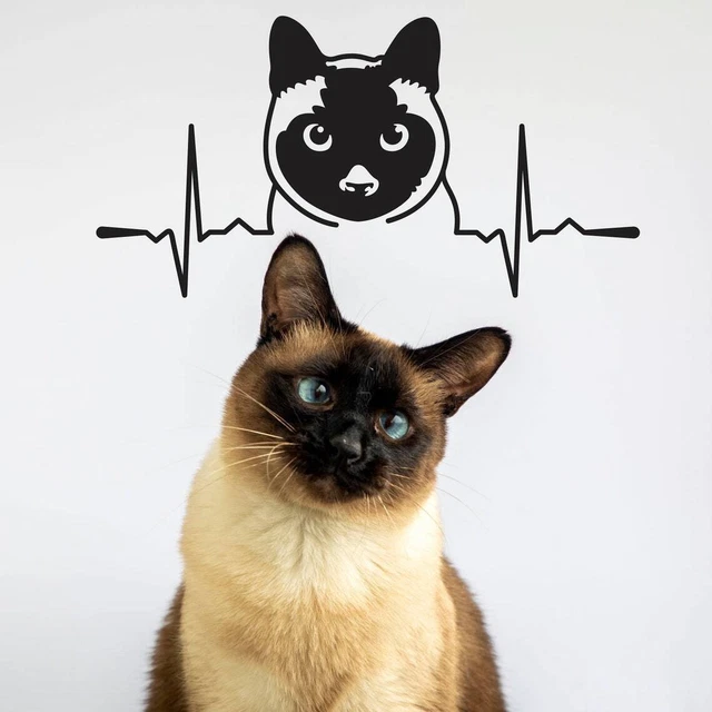 SIAMESE CAT VINYL Wall Sticker Funny Kitten Art Pet Lover Waterproof ...