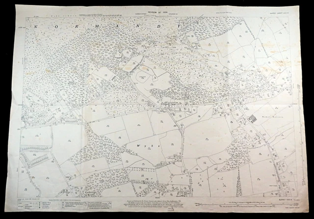 MAP OF SURREY Guildford Wyke Village Normandy Pirbright Road Antique ...