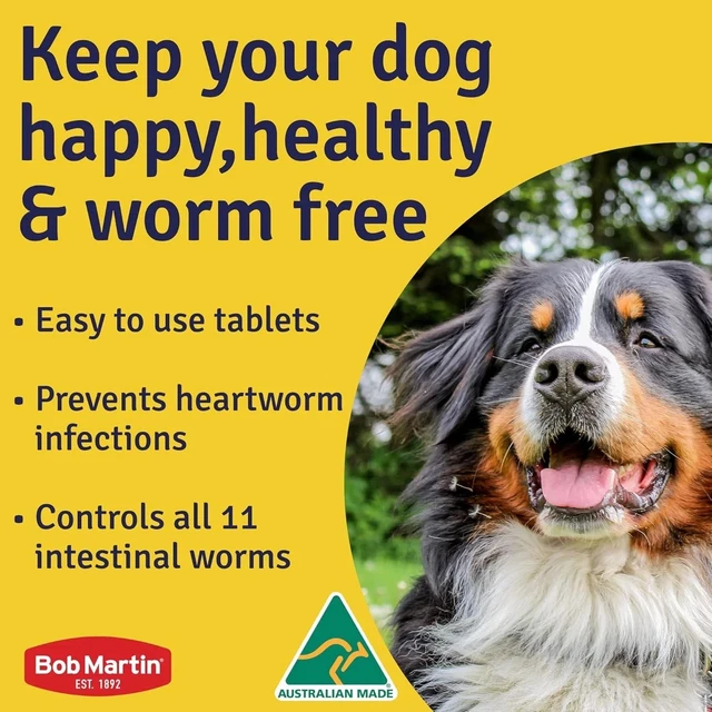 WORMING TABLETS FOR Dogs 40G Kills 5 Worms 1 Dose Chewable Liver Flavor ...