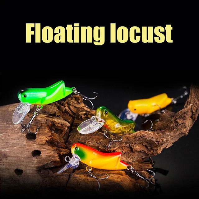 SINGLE AND DOUBLE Hook Biomimetic Grasshopper Insect Bait Floating ...