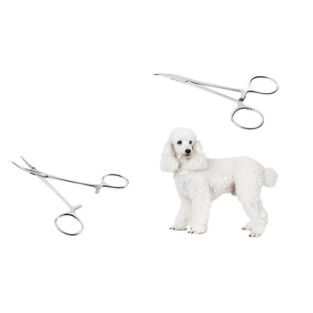 2X DOG CAT Hemostat Forceps Ear Hair Clamp Hair Puller Remover, Curved ...