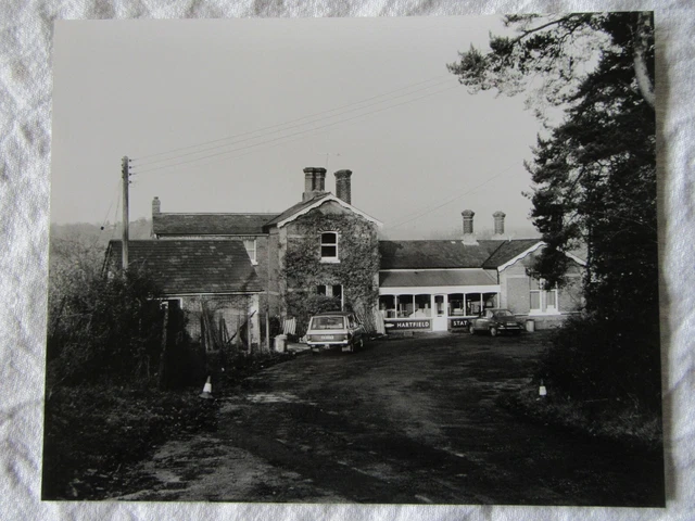G155 - HARTFIELD Railway Station (Closed) - Three Bridges Line 10 x 8 ...