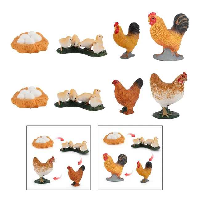 PLASTIC ANIMAL CHICKEN Life Cycle Growth Cycle 4 Stages Hen Rooster ...