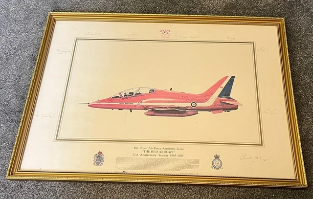 THE RED ARROWS - 1985 21st Anniversary Season - Signed x9 Print RAF ...
