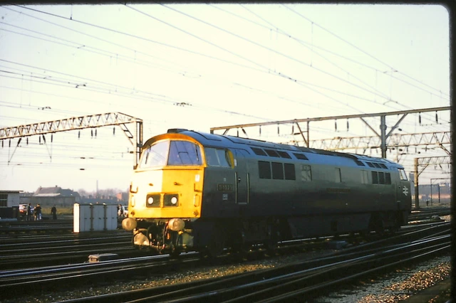 ORIGINAL 35MM COL Slide Class 52 D1023 Western Fusilier~Crewe~29/1/1977 ...