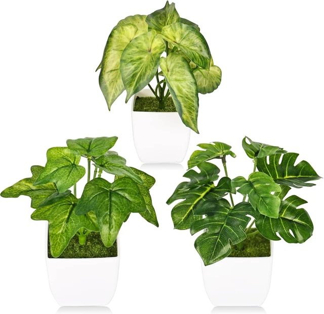 PIANTE ARTIFICIALI, SET Da 3 Pezzi, Piante Artificiali Come Reali Con ...