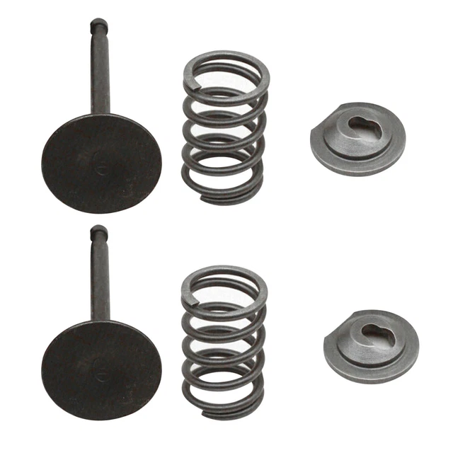 VALVE SPRINGS PARTS For Honda GX160 GX200 168F 170F 5.5-6.5HP Gasoline ...