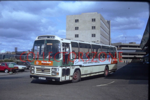 35MM SLIDE 1983 White Rose express coach GWU529T Bradford With ...