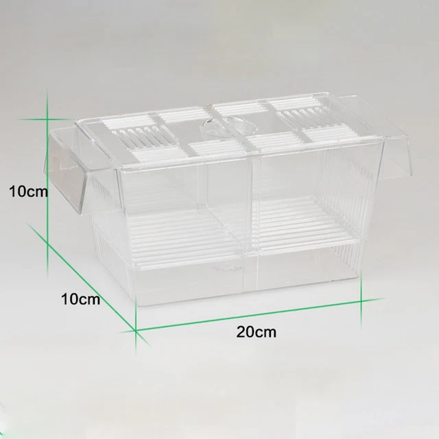 TRANSPARENT FISH TANK Breeding Isolation Box Aquarium Incubator ...