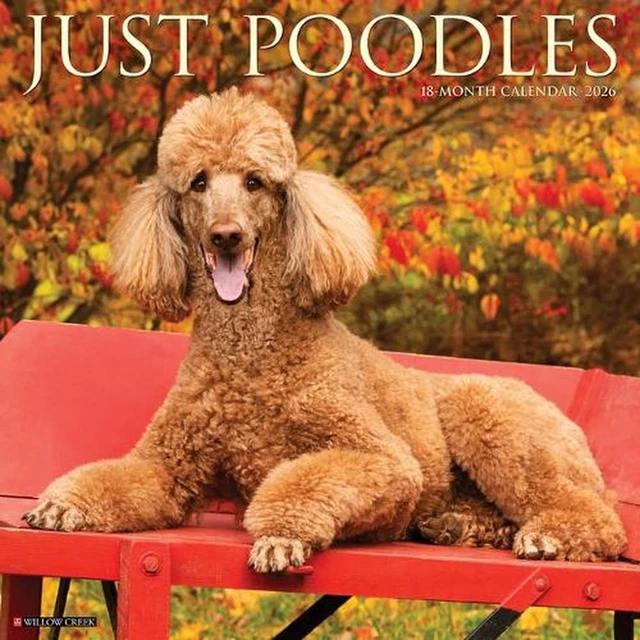 POODLES 2026 WALL Calendar by Willow Creek Press $28.42 - PicClick AU