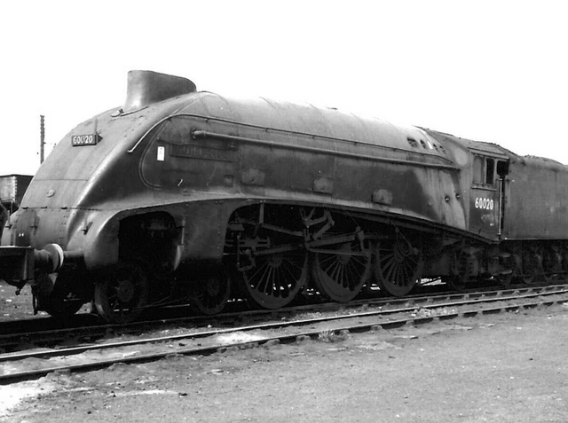 VINTAGE TRAIN PHOTO British Railways Steam Locomotive Class A4 60020 £7 ...