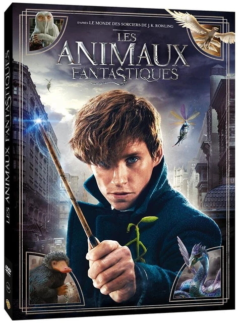 LES ANIMAUX FANTASTIQUES (DVD) Katherine Waterston Eddie Redmayne David ...