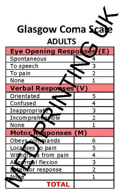 DOUBLE SIDED GCS / Glasgow Coma Scale (Adult and Child) £3.31 - PicClick UK