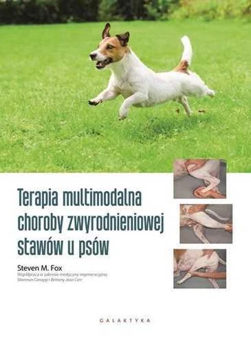 TERAPIA MULTIMODALNA CHOROBY zwyrodnieniowej & STEVEN M FOX EUR 55,46 ...
