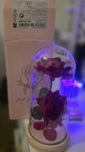LED ROSE NIGHT Light Clear Glass Dome Display with Wooden Base Blue ...