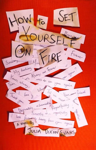 HOW TO SET Yourself on Fire, Evans, Julia Dixon £3.59 - PicClick UK