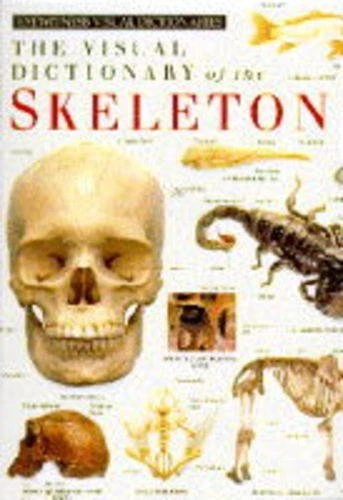 EYEWITNESS VISUAL DICT Skeleton (Eyewitness Visual Dictionaries ...
