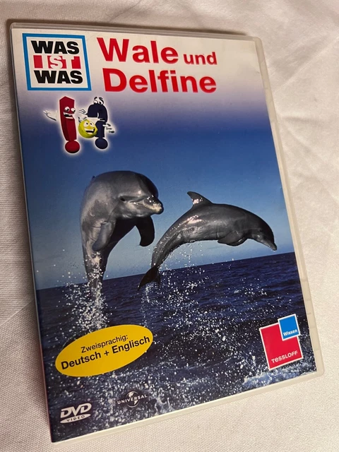 WHAT IS WHAT - Whales and Dolphins | DVD r231 £4.22 - PicClick UK