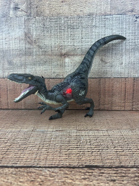 JURASSIC WORLD BLUE Velociraptor Raptor Dinosaur Figure Park Toy Hasbro ...