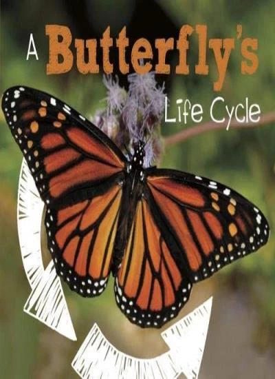 EXPLORE LIFE CYCLES: A Butterfly's Life Cycle-Mary R. Dunn, 9781 £75.00 ...
